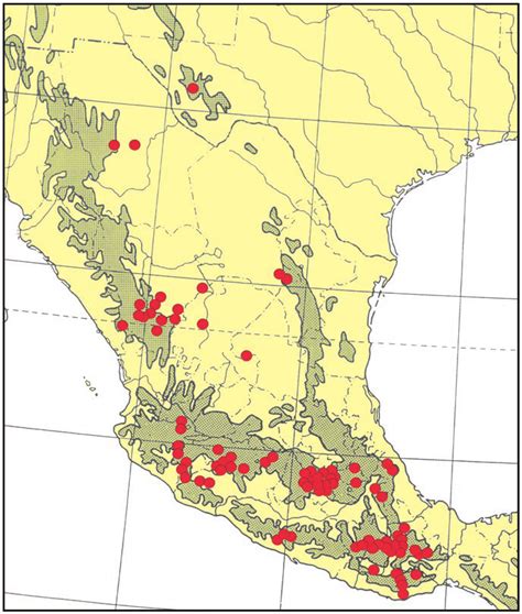 10 Nearctic Distributional Pattern Elliptoleus Coleoptera Carabidae Download Scientific