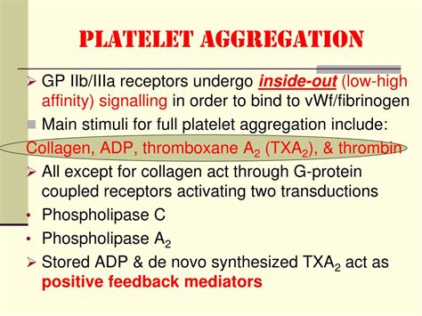 Ppt Platelet Aggregation Inhibitors Powerpoint Presentation Free Download Id6903585 Ppt Platelet Aggregation Inhibitors Powerpoint Presentation Free Download Id6903585