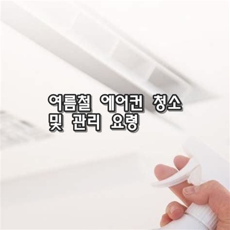 여름철 에어컨 청소 에어컨 필터 실내기 실외기 청소 및 관리 요령 여름철 에어컨 청소 에어컨 필터 실내기 실외기 청소 및 관리 요령