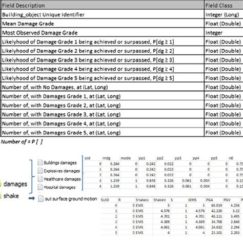 Structure Of Output Folders And Results Download Scientific Diagram