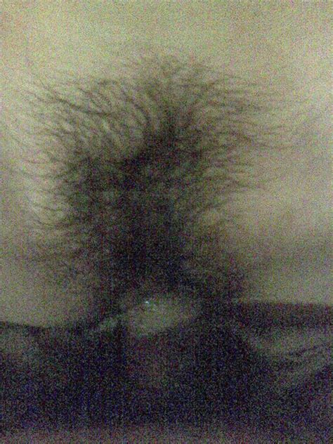 Collection Of Chinese Fucked Screw Chen Yajing 20 Fujian Porn Pic Eporner