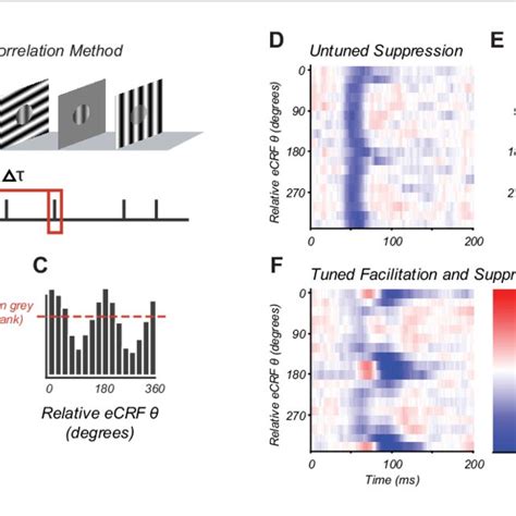 Reverse Correlation Approach And Example Ecrf Dynamics A Download Scientific Diagram