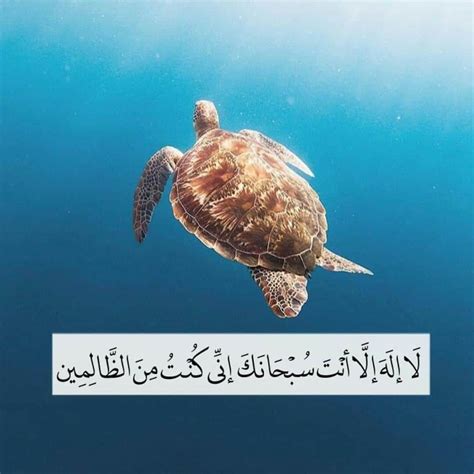 اجمل صوت قرآن