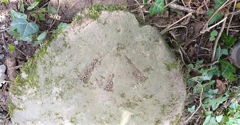 Cranmore East Mendip Way Os Benchmark Imgur