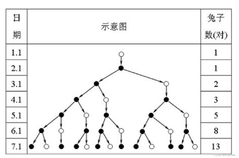 斐波那契数列问题有一对刚出生的兔子一个月后长成大兔子 Csdn博客
