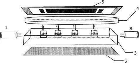 Lensless Fluorescence Imaging Detection Device And Application Eureka Patsnap