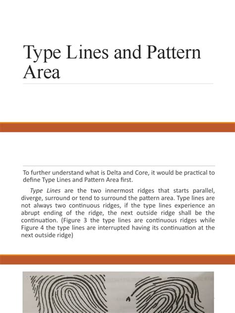 Type Lines And Pattern Area Pdf Science And Mathematics