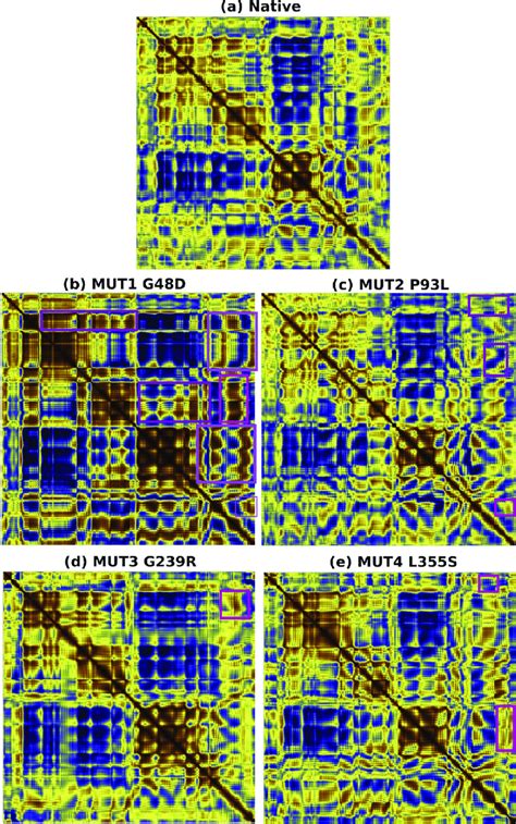 Cross Correlation Plots Of C Alpha Fluctuations Maximum Of Download Scientific Diagram