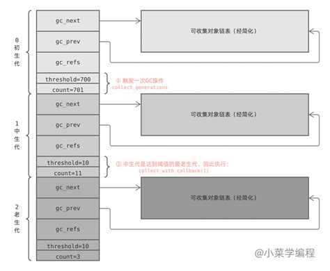 全面解读Python垃圾回收机制 墨天轮