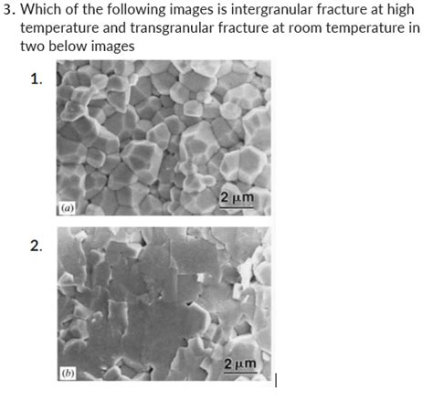 Solved Which Of The Following Images Is Intergranular