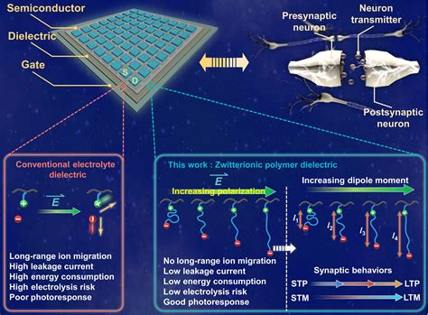 Ultralow Power Optoelectronic Synaptic Transistors Based On Polyzwitterion Dielectrics For In