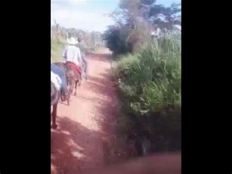 Aaa Xxx Ddd Fff YouTube