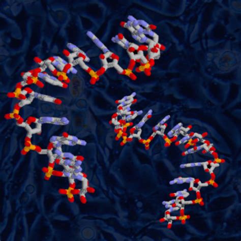 CHOP Researchers Develop Versatile And Low Cost Technology For Targeted Long Read RNA Sequencing