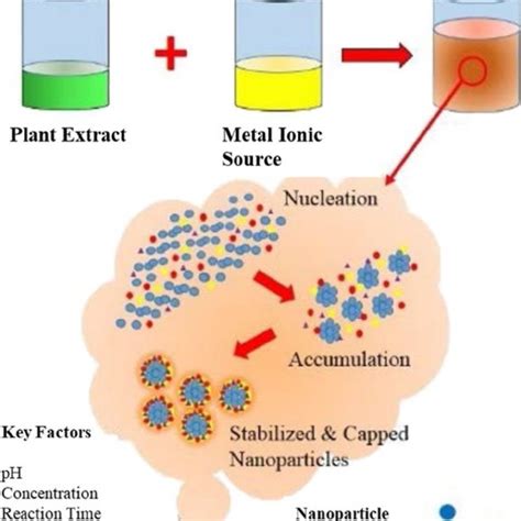 Various Methods Of Synthesizing Metal Oxide Nanoparticles Download