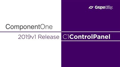 Componentone Controlpanel Installing Licensing Updating And Versioning Your Net Ui Controls