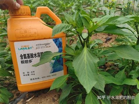 水溶肥哪个好能让种植户有收益才算好 知乎