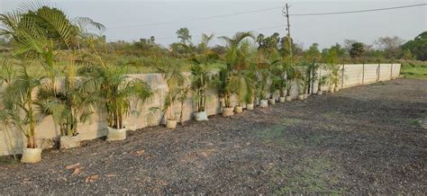 Praduman Singh On Linkedin I Am An Agent Of A Developer Company Currently I Am Working On Viraj