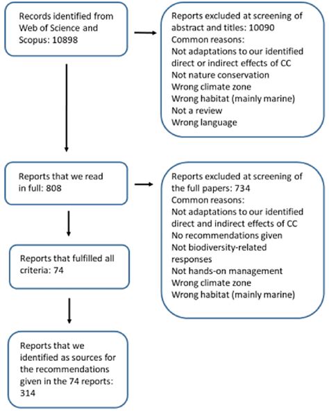 Our Search For Relevant Literature Numbers Of Reports Excluded And