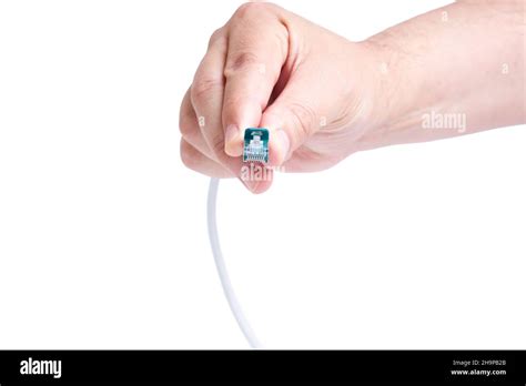 Ethernet Cable Lan Internet Wire Data Connection Networking And Communication Closeup View Of