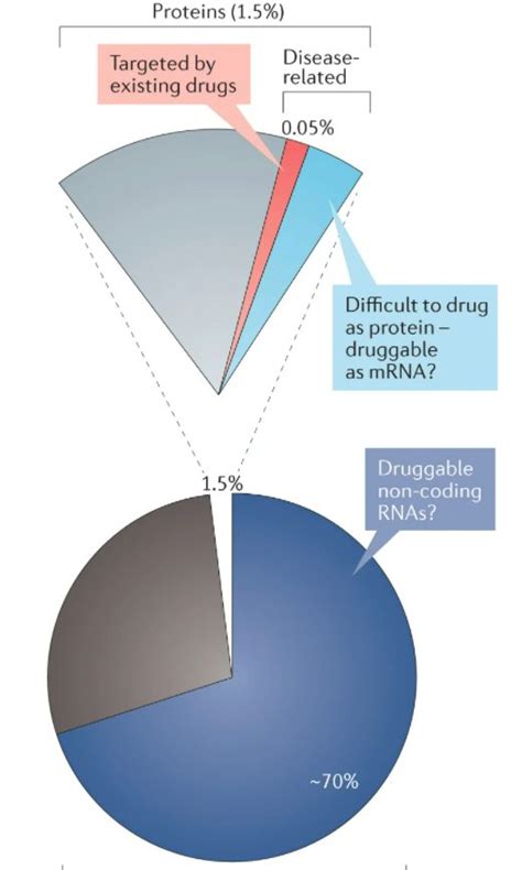 La Jolla Labs Inc On Linkedin Why Target Rna