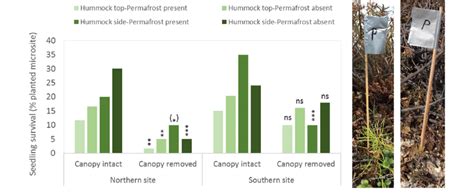 Shrub Canopy Effects On Tree Seedling Survival In The Four Microsites Download Scientific