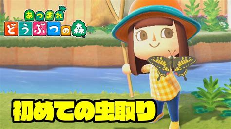 虫あみ作って昆虫採取あつ森あつまれどうぶつの森 Part 6 YouTube