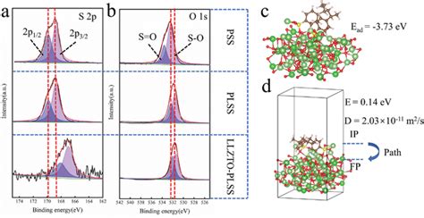 Li⁺ Diffusion Process At Llzto‐plss Li Interface A B S 2p And O 1s Download Scientific
