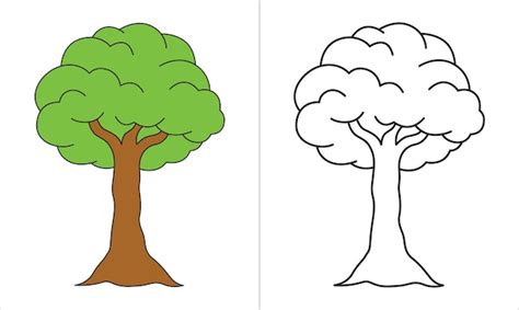 Premium Vector Treee Outline Colour Illustration