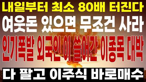 상한가 포스코홀딩스 말고 2차전지 대장주 이 기업 7월 세계 1위 됩니다 2차전지관련주 에코프로비엠 주식전망