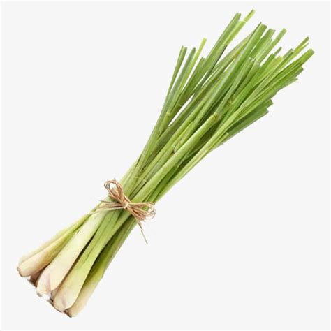 Lemongrass Png Picture