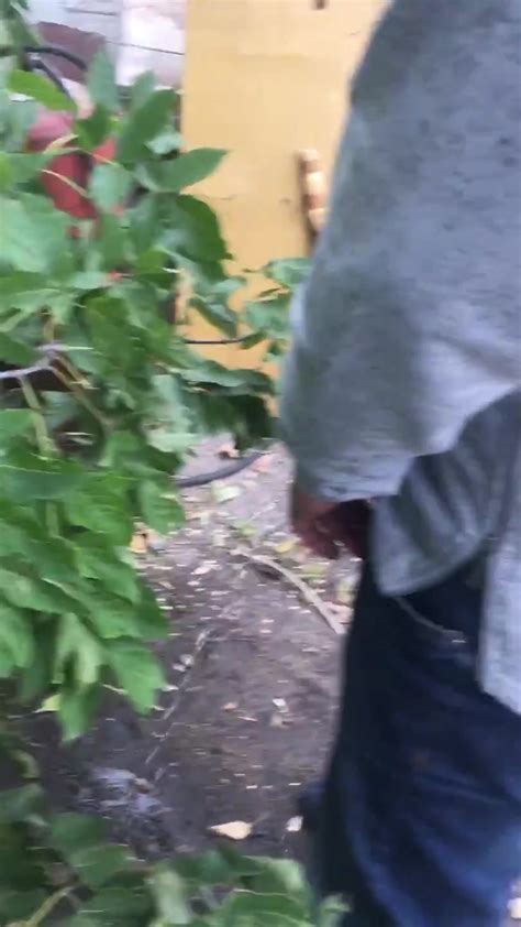 Public Pisser Video Thisvid Com