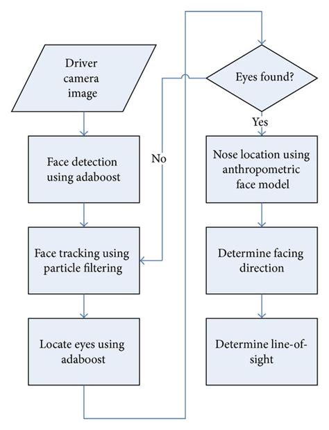 Flowchart For Drivers Line Of Sight Analysis Download Scientific Diagram