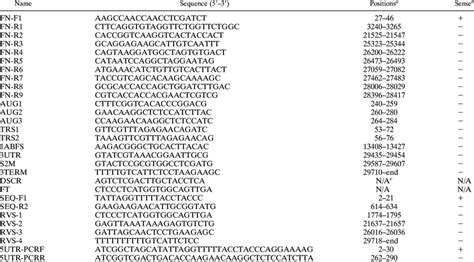 Pmo And Oligonucleotide Sequences Download Table