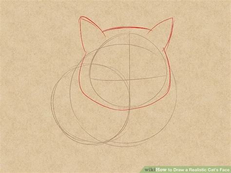 How To Draw A Realistic Cats Face 11 Steps With Pictures Nose