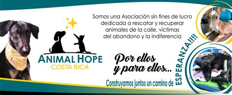 Fundación Tierra De Fundación Tierra De Animales