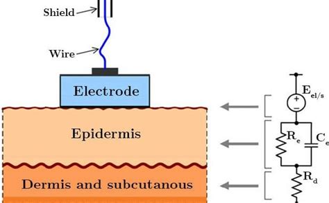 Skin Electrode Interface Layers And First Order Electrical Equivalent Download Scientific