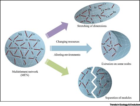 Figure 2 From Plant Trait Networks Improved Resolution Of The Dimensionality Of Adaptation
