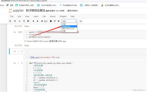 如何在jupyter notebook中插入本地图片 一针见血，无代码！ jupyter notebook怎么添加图片 csdn博客