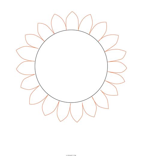 Как нарисовать подсолнух поэтапно 🖌 Рисунки карандашом поэтапно