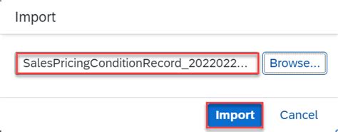 Sales Price Excel Upload In Sap S4hana With Custo Sap Community