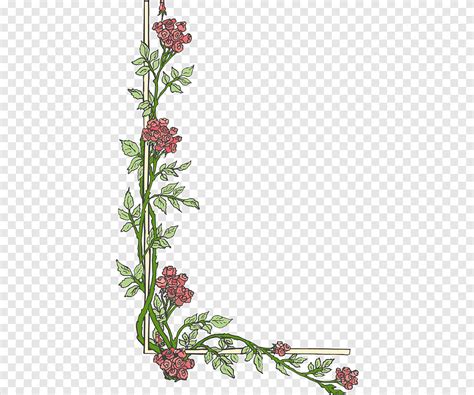 Border Drawing Border Page Flower Arranging Plant Stem Png Pngegg