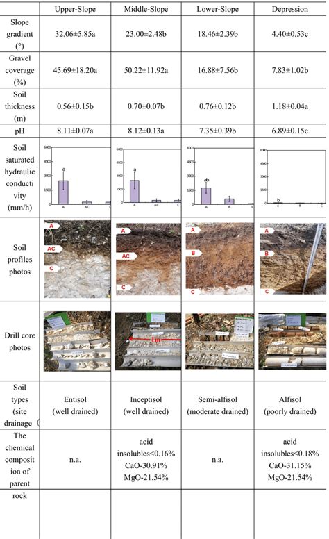 Site Characteristics Soil Hydrological Conditions And Soil Rock