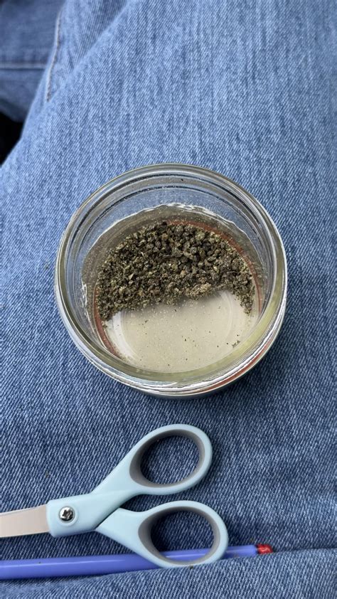 Some Dank Roach Weed Loaded With Kief Cuz I Need This Shit Rn 💯 Rweed