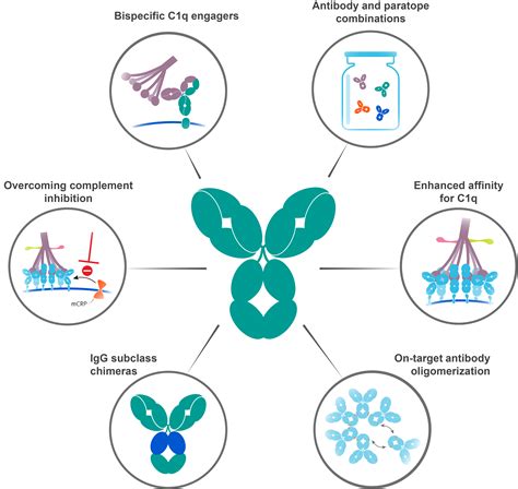 Unlocking The Power Of The Immune Complement System To Advance Cancer