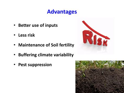 Crop Diversification Ppt