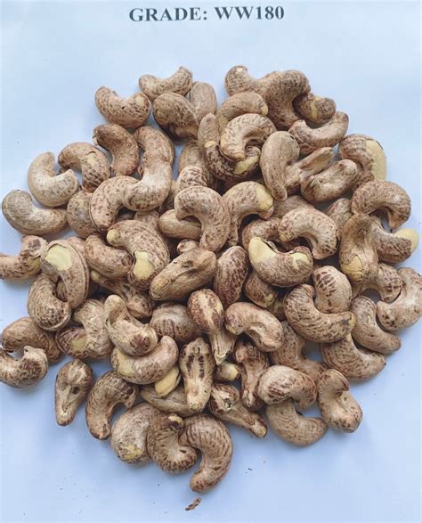 Salted Roasted Kernel Svc Group