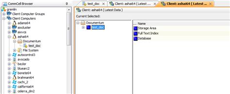 Restore Documentum Idataagent Oracle