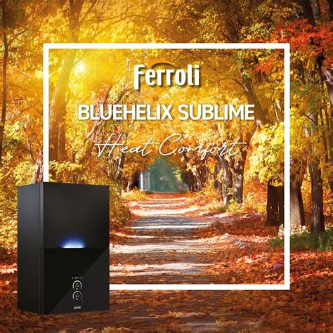 Michele Grimaldi Posted On Linkedin