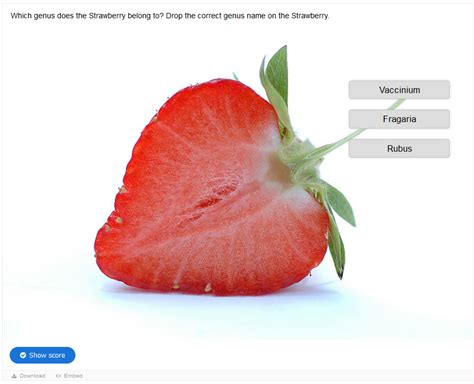 Archivoh5p Example Drag And Droppng Moodledocs