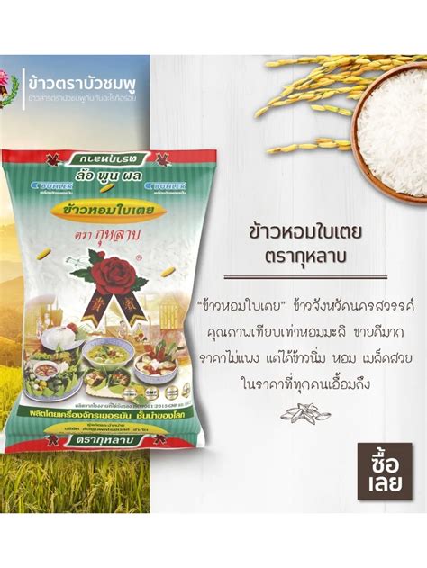 ส่งฟรี ตรากุหลาบ ข้าวหอมใบเตยใหม่ ขนาด 1 และ 5 กิโลกรัม Shopee Thailand